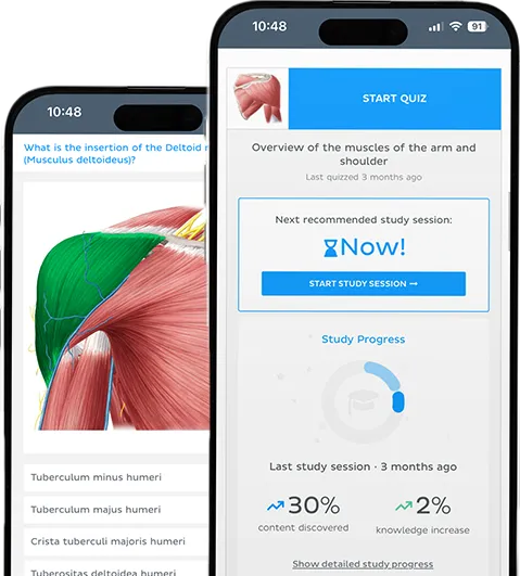 Online human anatomy courses and classes | Kenhub